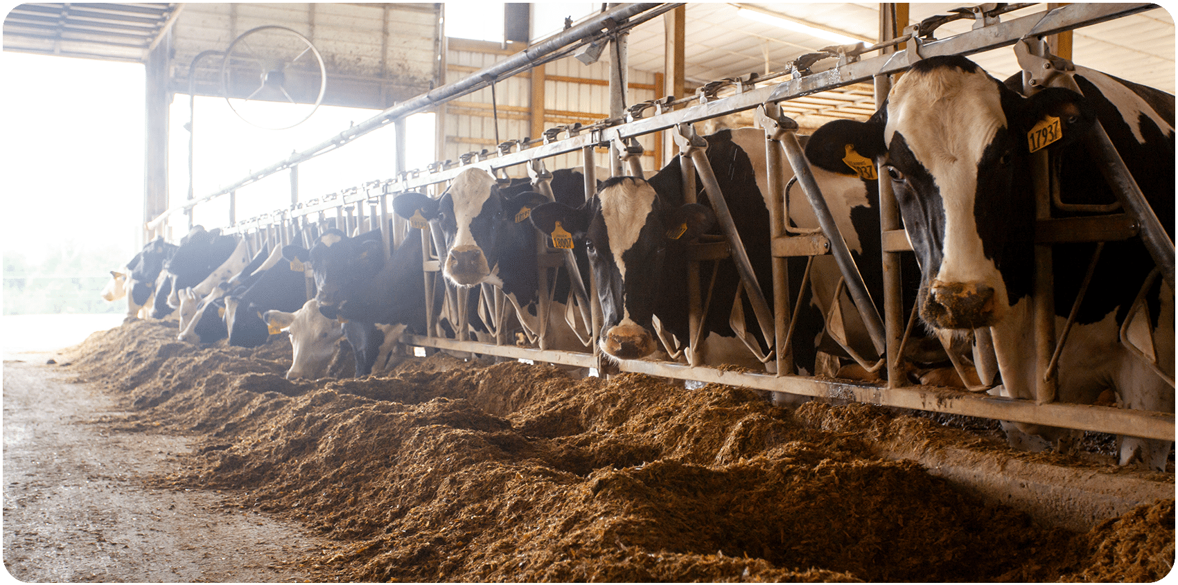 Bret - Barbland Dairy - Cayuga Milk Ingredients