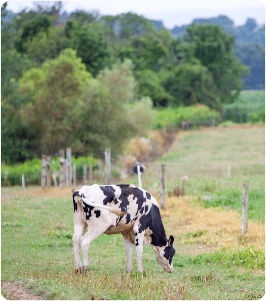 Bret - Barbland Dairy - Cayuga Milk Ingredients